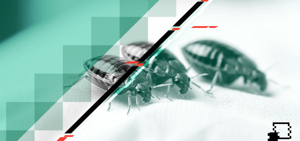 Fortinet Warns of Zero Day in FortiOS | Decipher Fortinet Warns of Zero Day in FortiOS | Decipher