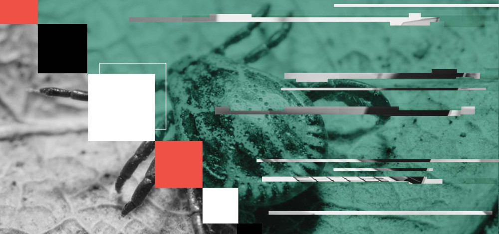 Ivanti Rolls Out Patches For Exploited Connect Secure Flaws | Decipher Ivanti Rolls Out Patches For Exploited Connect Secure Flaws | Decipher